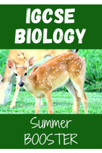 IGCSE Biology Summer BOOSTERS – Tutor Led Learning