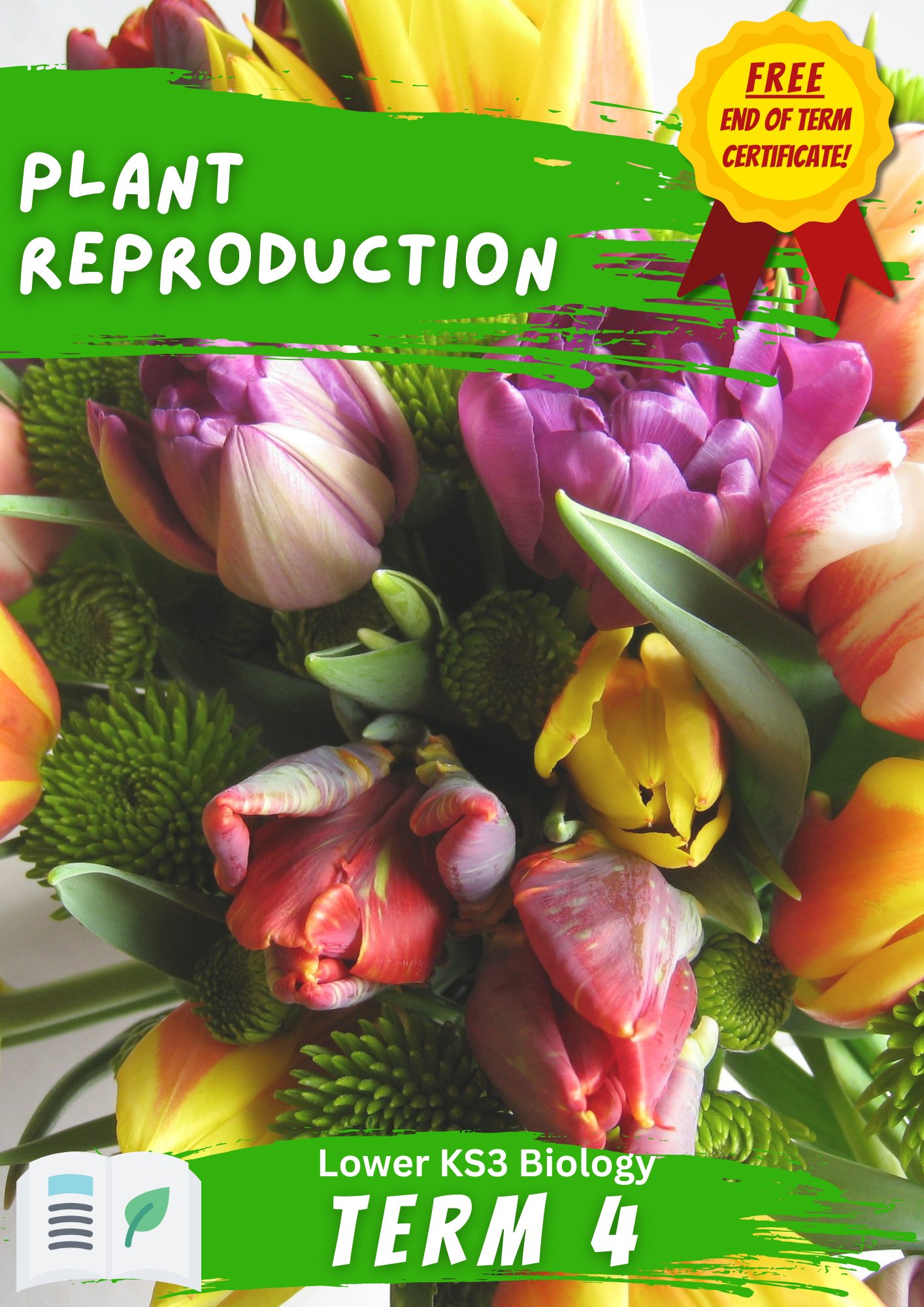 Term 4 Plant Reproduction Tutor Led Learning