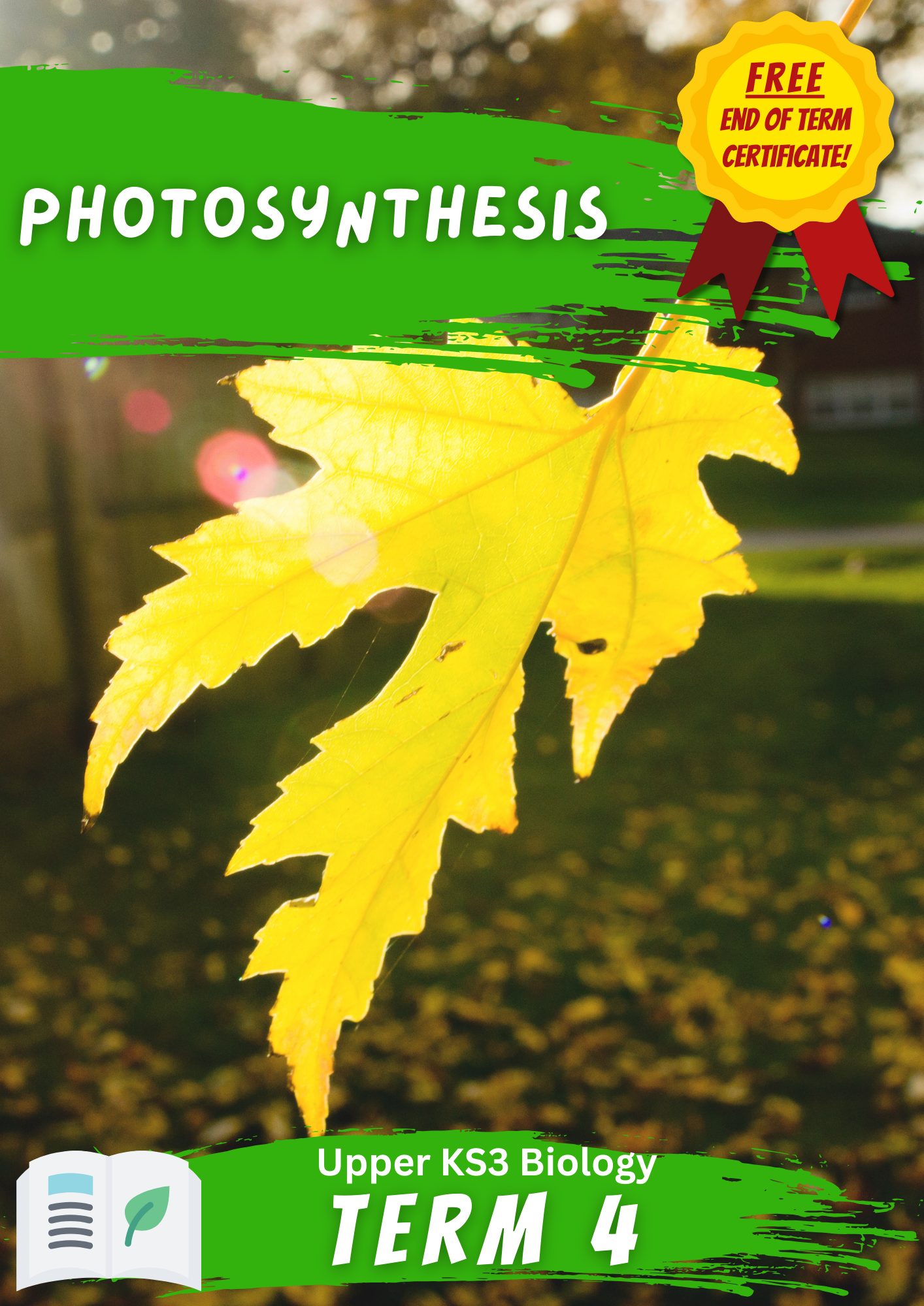 Term 4 Photosynthesis Tutor Led Learning