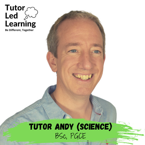 Solve the Case of the Missing Hamster! – Tutor Led Learning